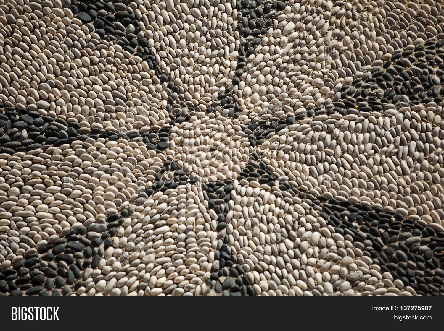 Ancient Greek Black Image & Photo (Free Trial) | Bigstock