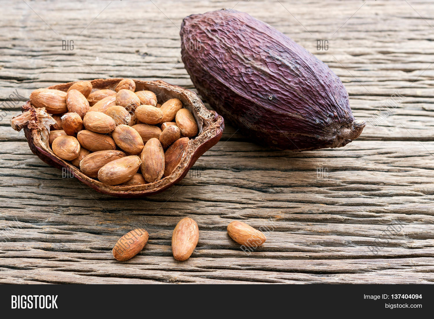 Collection Cacao Seeds Image & Photo (Free Trial) | Bigstock