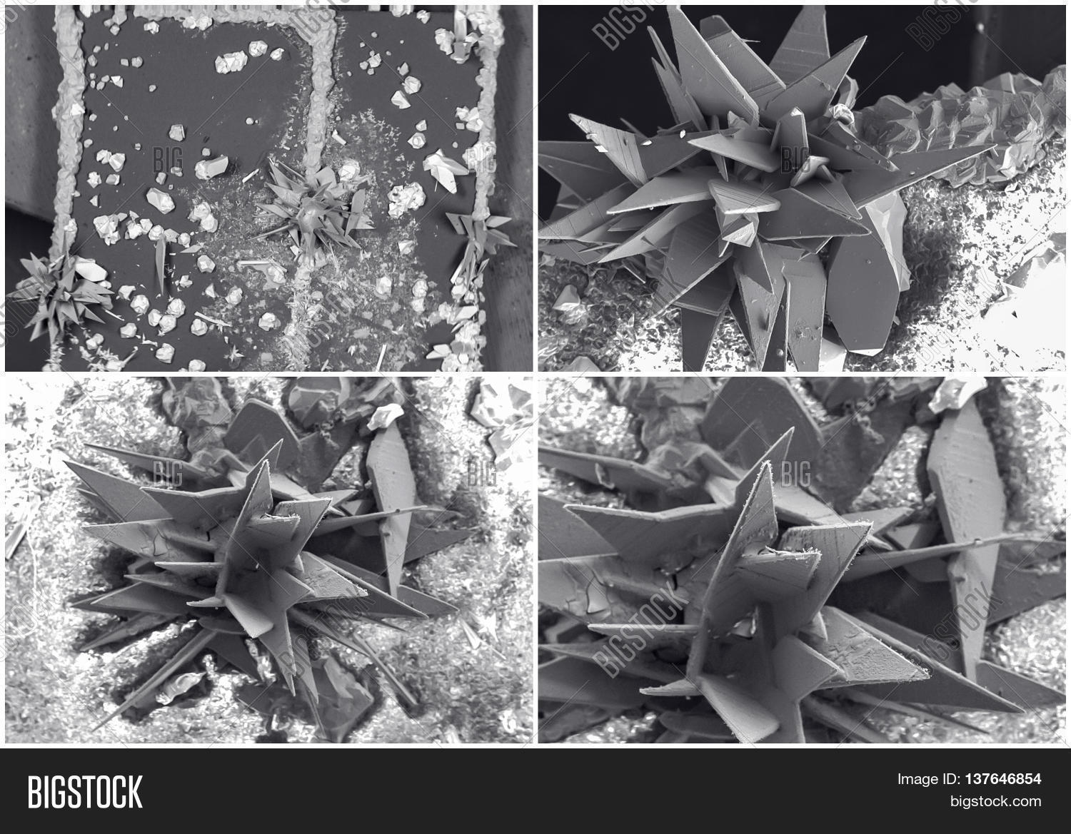 Scientific Collage. Image & Photo (Free Trial) | Bigstock