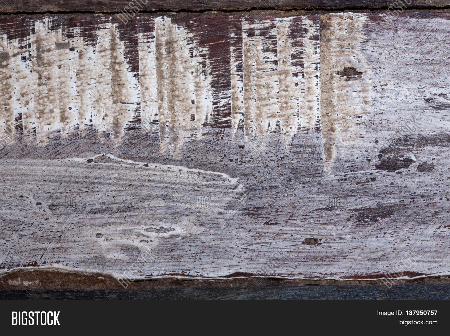 White Wood Texture Image & Photo (Free Trial) | Bigstock