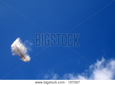 Feather Floating Air Image & Photo (Free Trial) | Bigstock