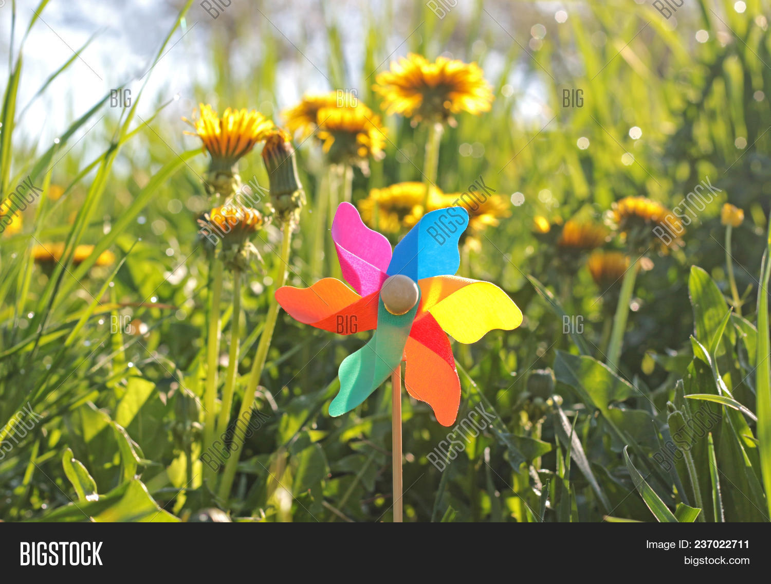 Multi Colored Pinwheel Image & Photo (Free Trial) | Bigstock