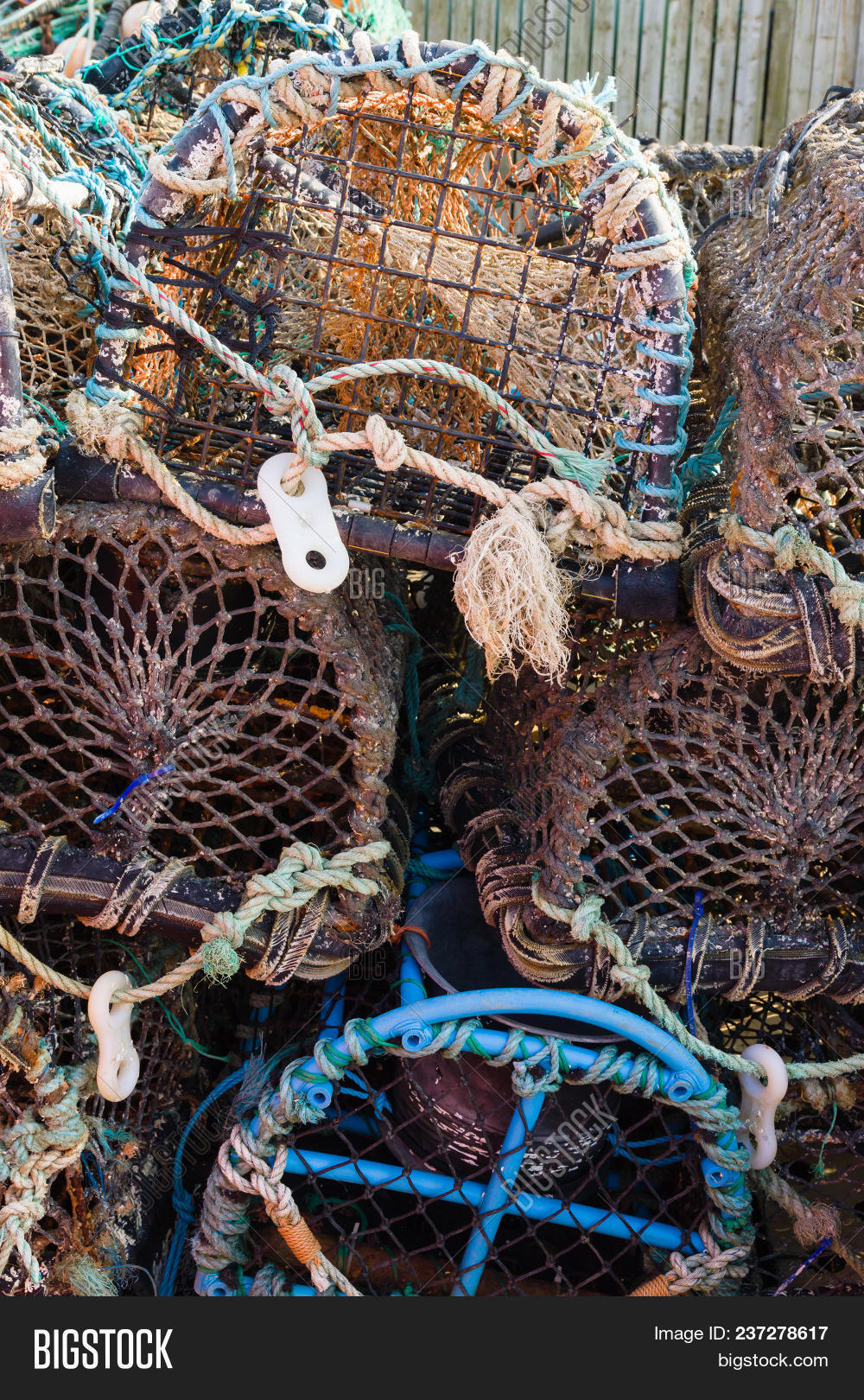 Lobster Crab Pots Image & Photo (Free Trial) | Bigstock