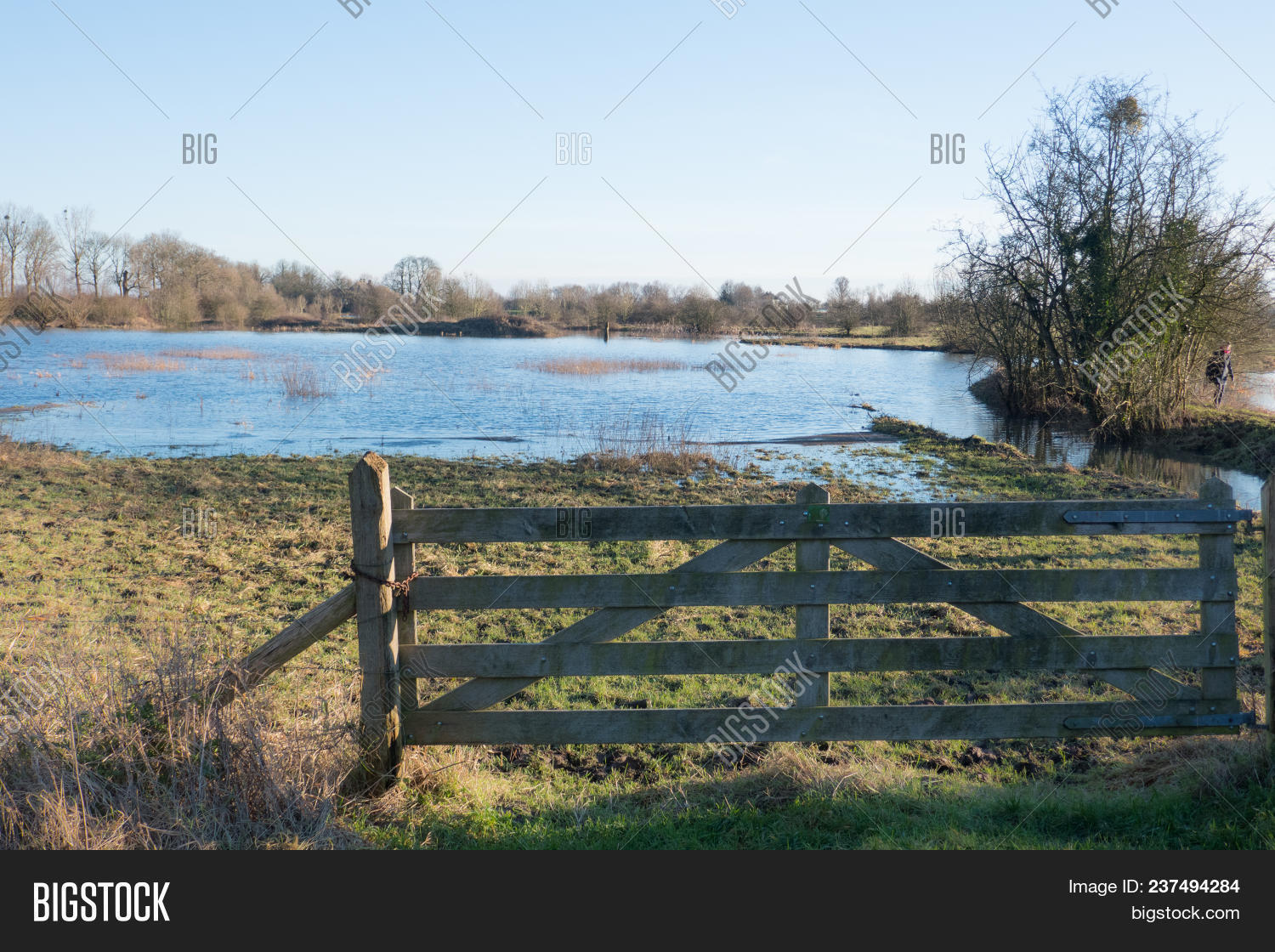 Fence Overflow Bank Image & Photo (Free Trial) | Bigstock