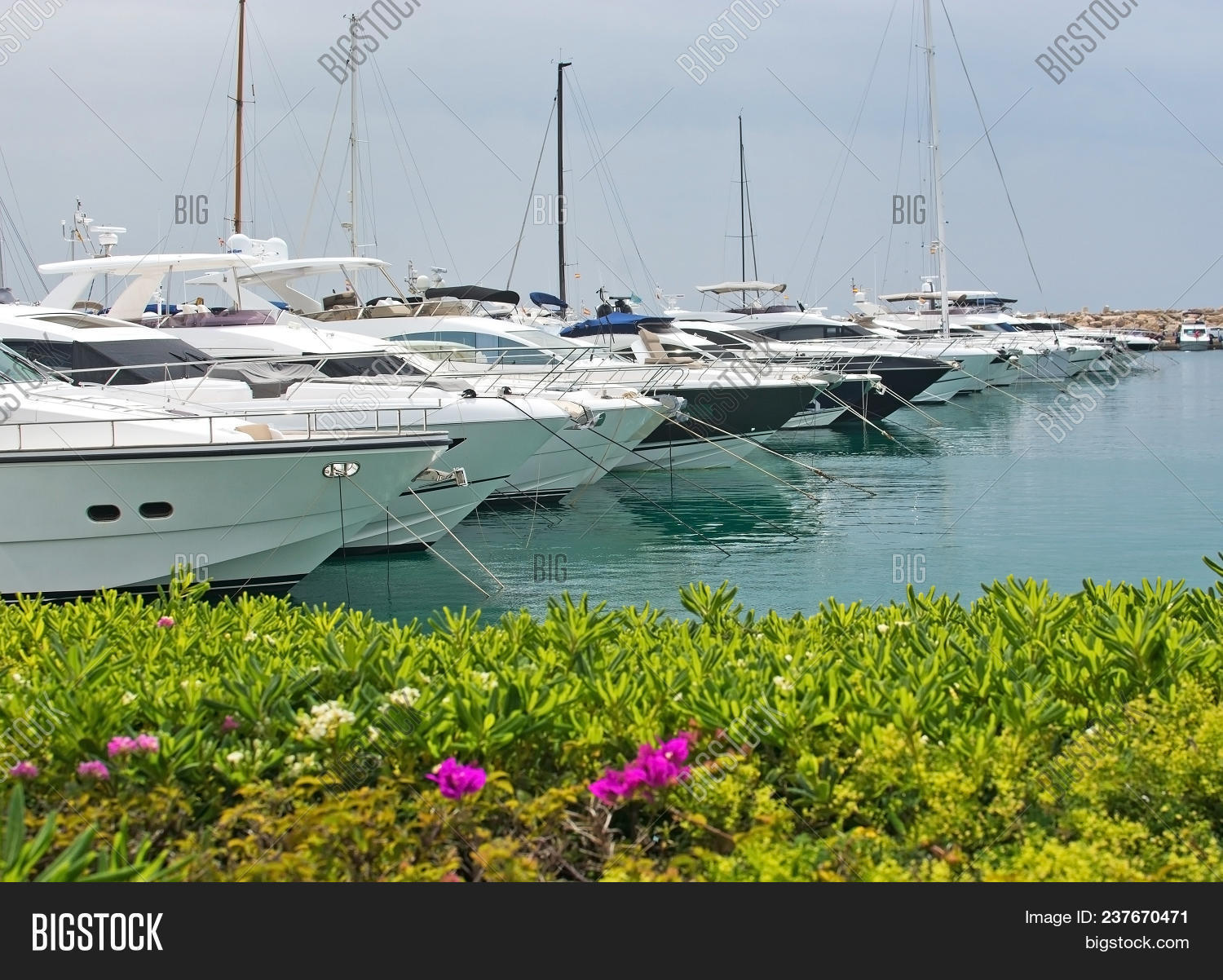 Puerto Portals, Image & Photo (Free Trial) | Bigstock