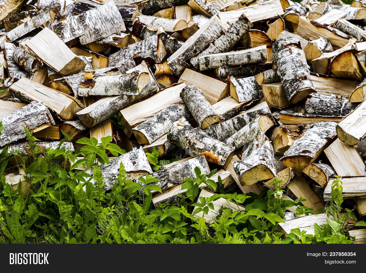 Chopped Logs Winter Image & Photo (Free Trial) | Bigstock