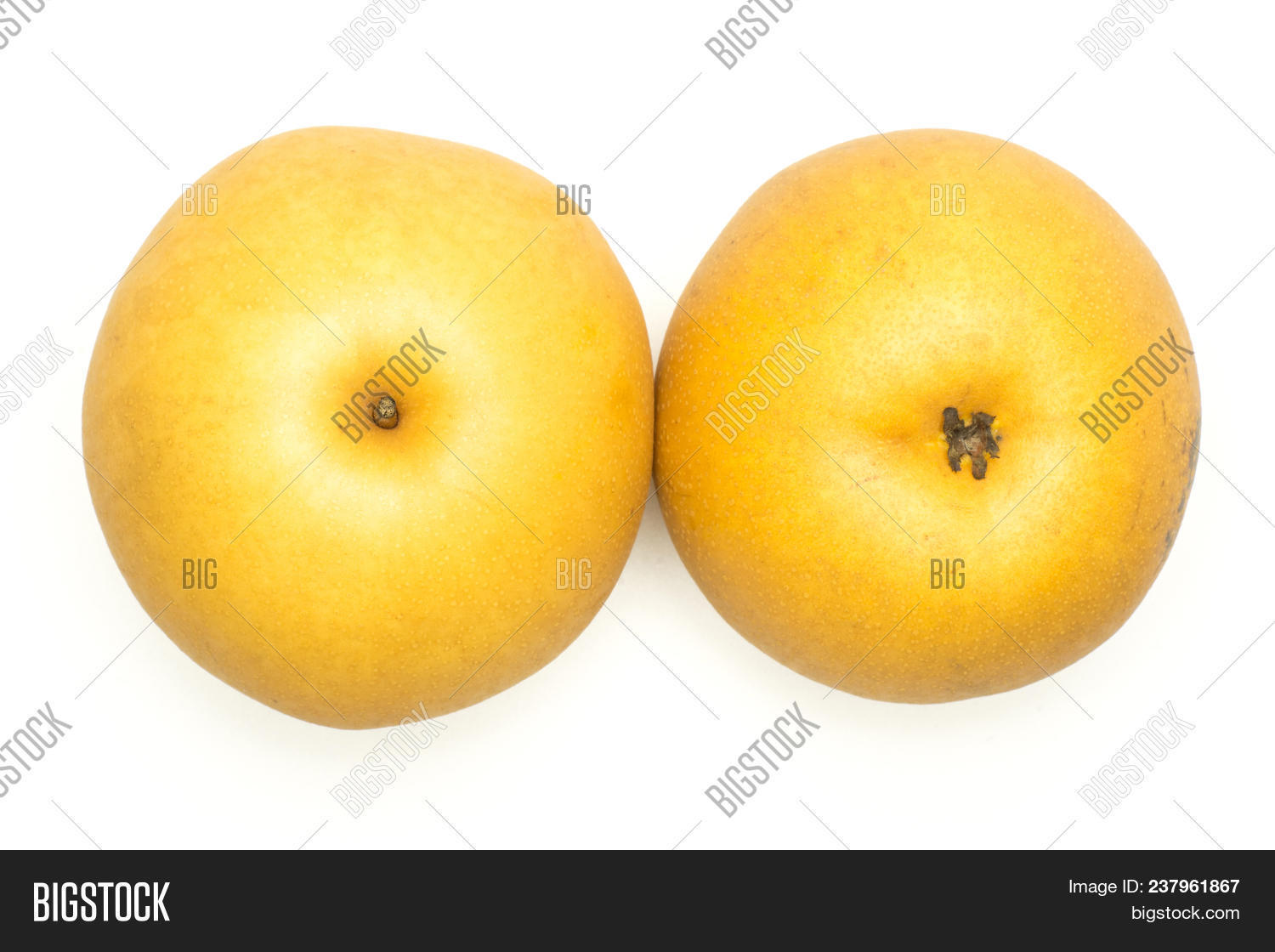 Chinese Golden Pears Image & Photo (Free Trial) | Bigstock