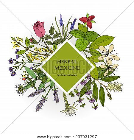 Different Medicinal Vector & Photo (Free Trial) | Bigstock