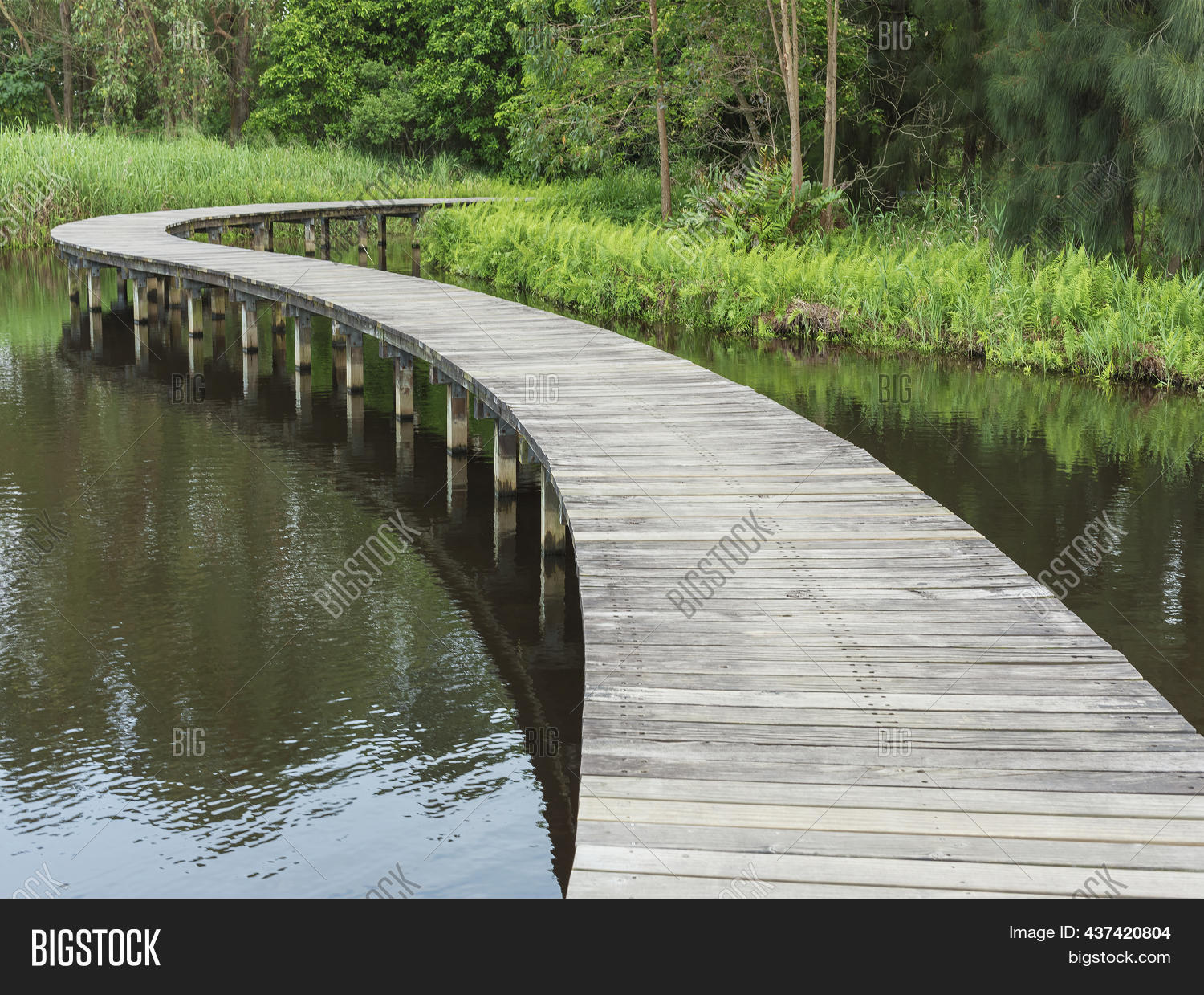 Empty Curved Wooden Image & Photo (Free Trial) | Bigstock