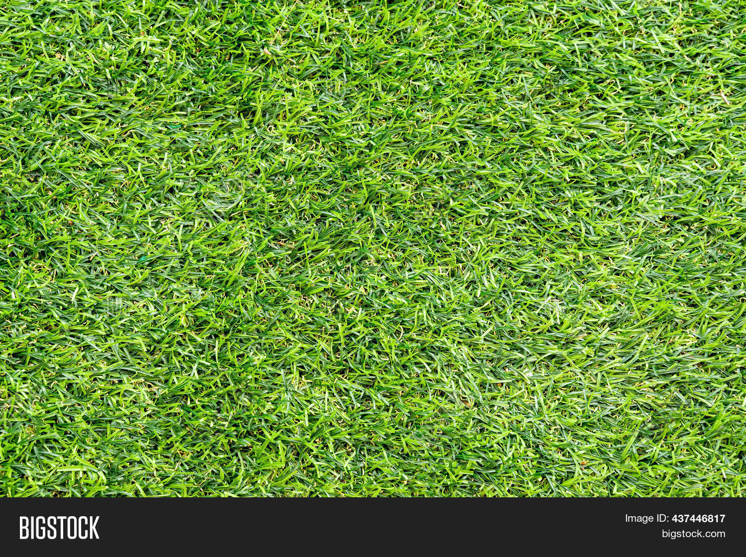 Green Grass Texture Image & Photo (Free Trial) | Bigstock