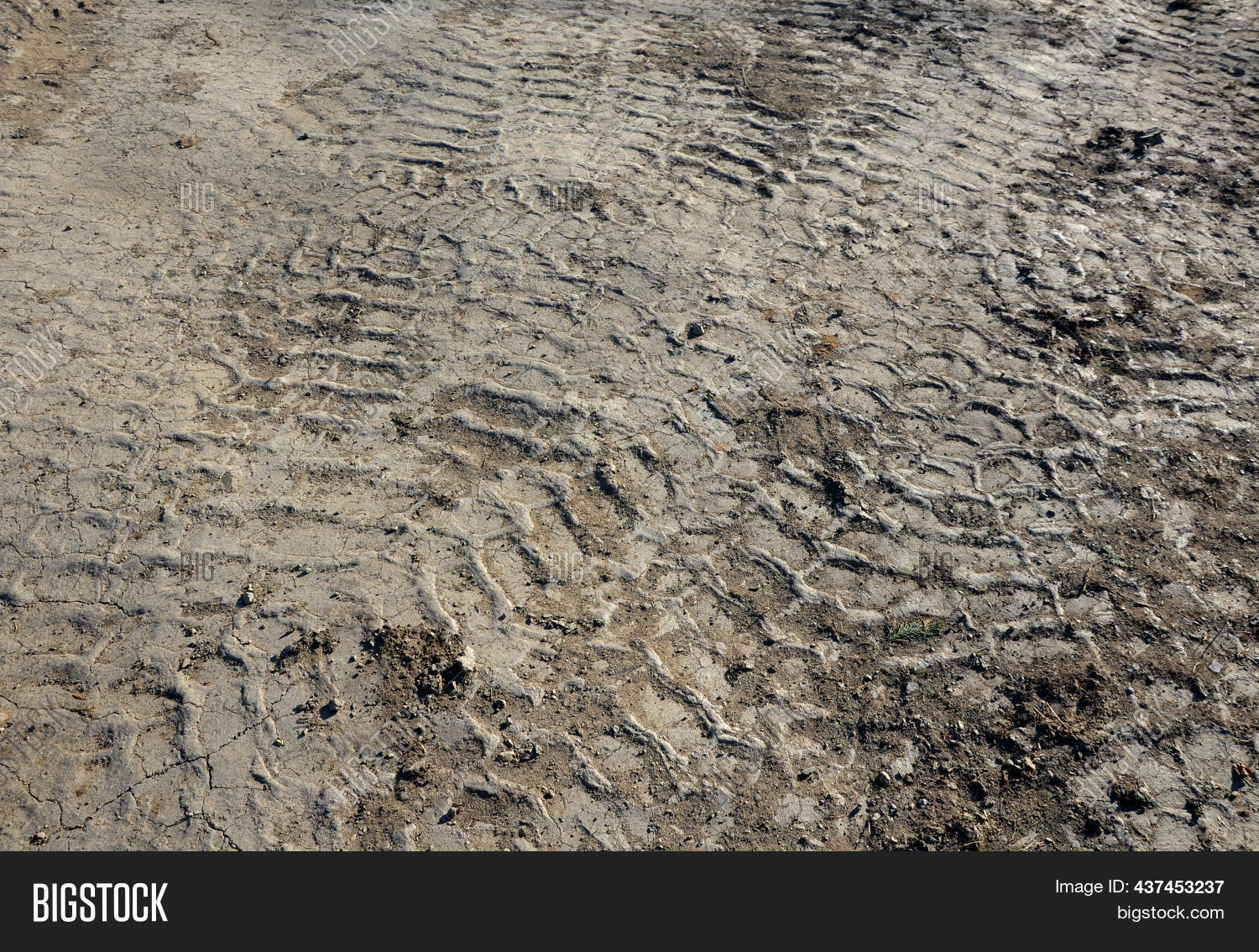 Hard Compacted Soil Image & Photo (Free Trial) | Bigstock