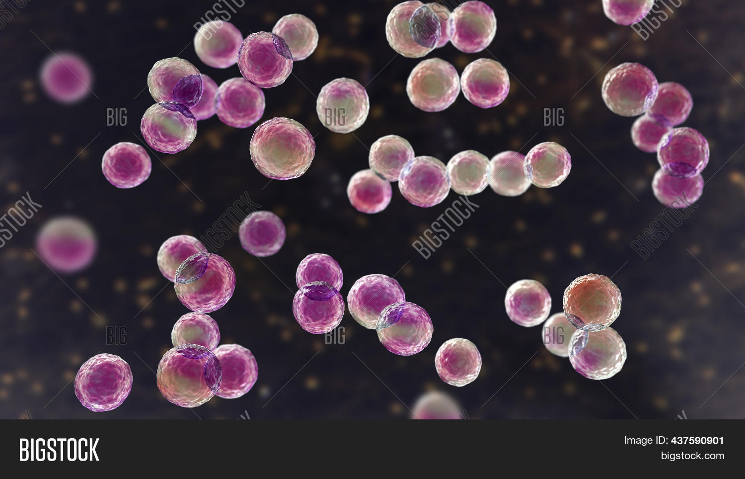 Bacteria Pediococcus, Image & Photo (Free Trial) | Bigstock