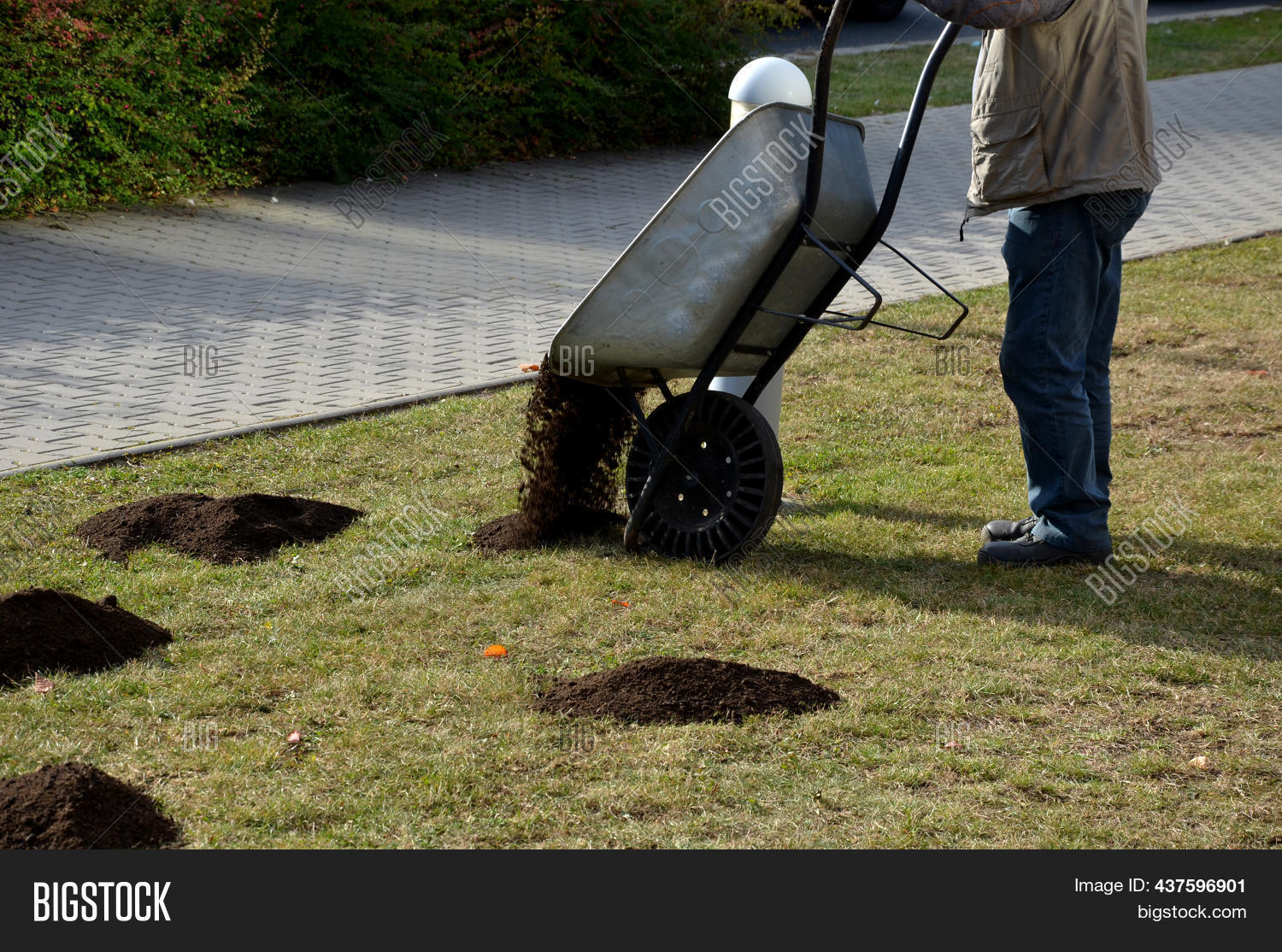 Repair Damaged Lawns Image & Photo (Free Trial) | Bigstock