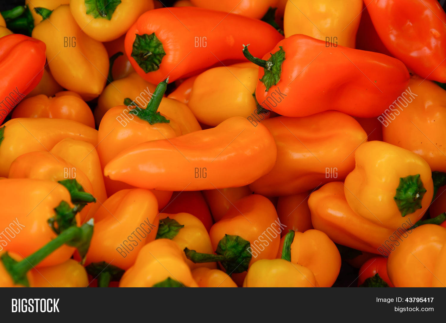 Mini Orange Sweet Image & Photo (Free Trial) | Bigstock