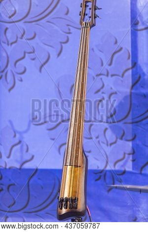 Upright Bass Images, Illustrations & Vectors (Free) - Bigstock