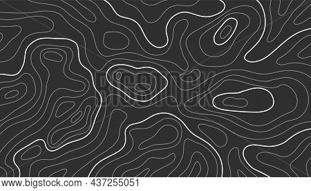 Topographic Map Lines Vector & Photo (Free Trial) | Bigstock