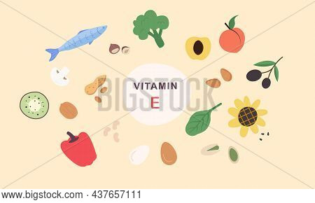 Vitamin E Sources. Vector & Photo (Free Trial) | Bigstock