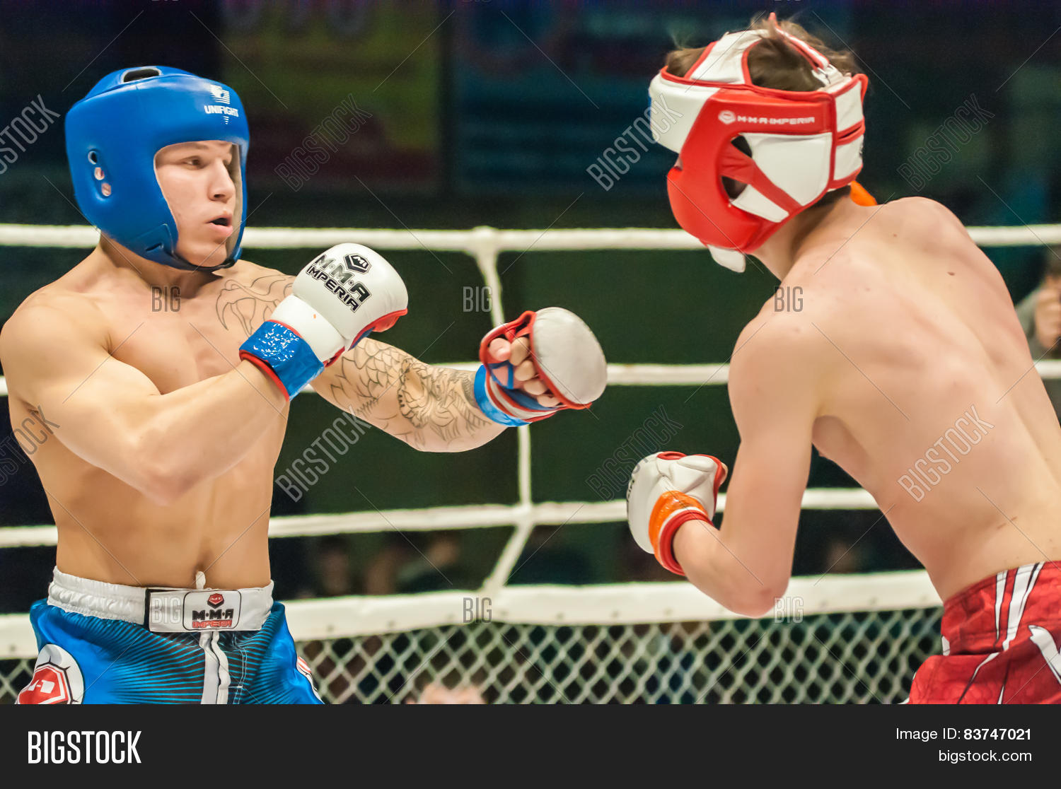 Match Two Mma Fighters Image & Photo (Free Trial) | Bigstock