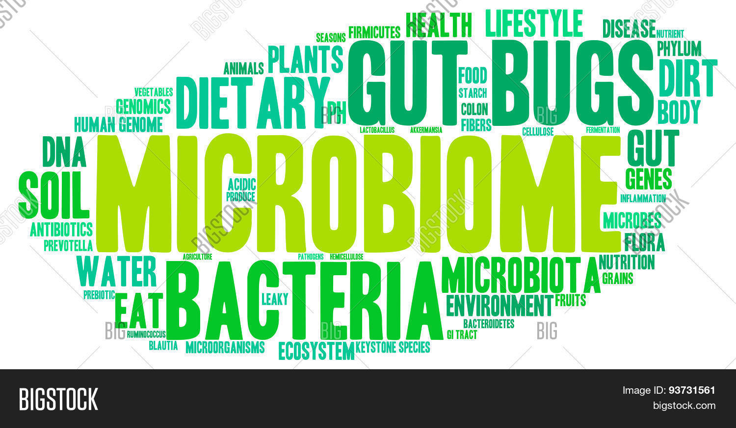 Microbiome Word Cloud Image & Photo (Free Trial) | Bigstock