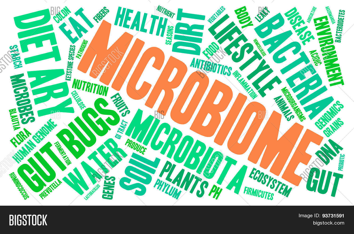 Microbiome Word Cloud Image & Photo (Free Trial) | Bigstock