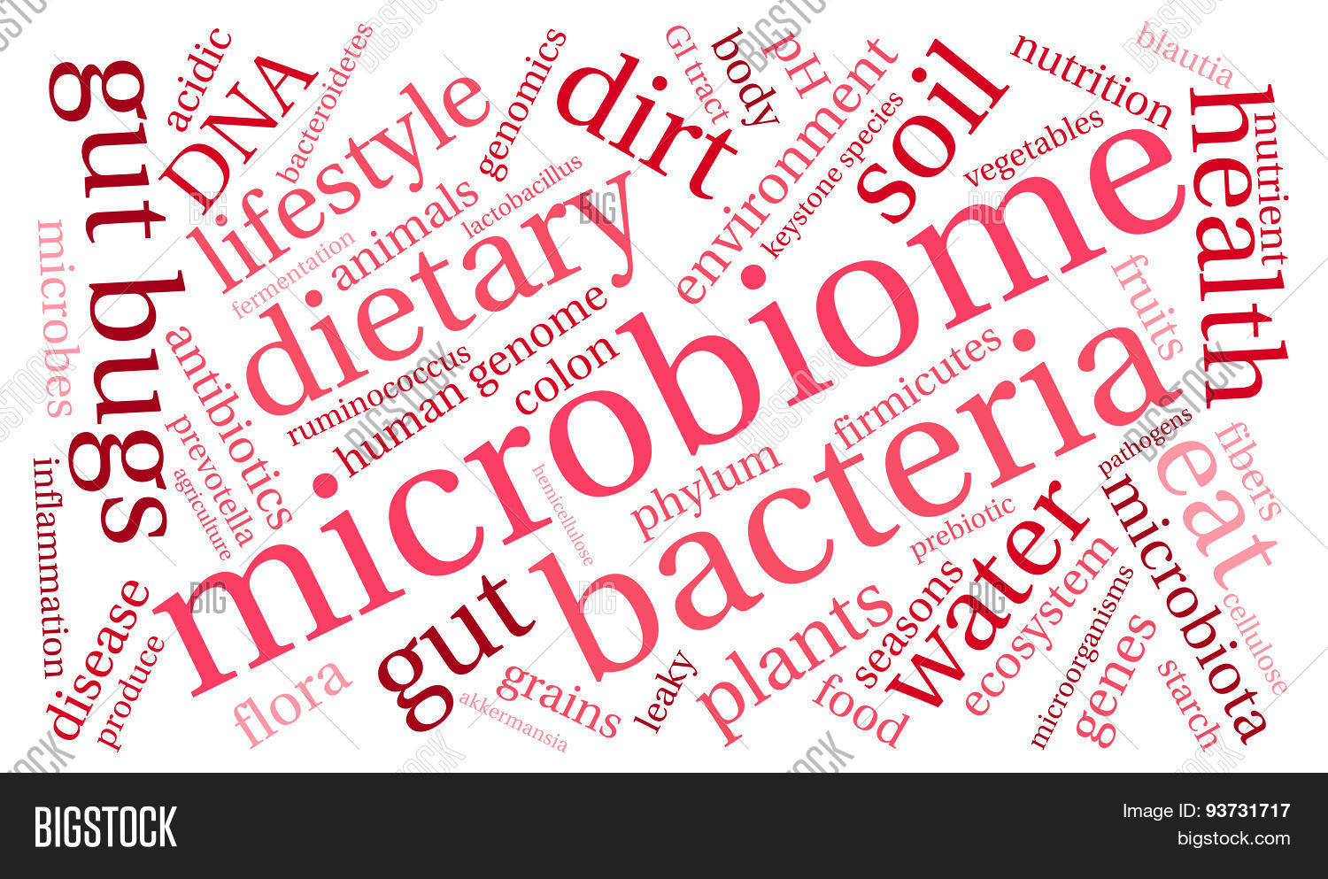 Microbiome Word Cloud Image & Photo (Free Trial) | Bigstock