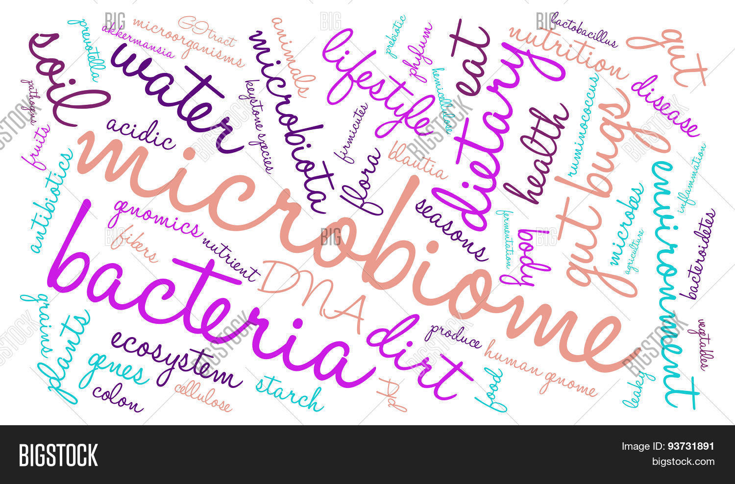 Microbiome Word Cloud Image & Photo (Free Trial) | Bigstock
