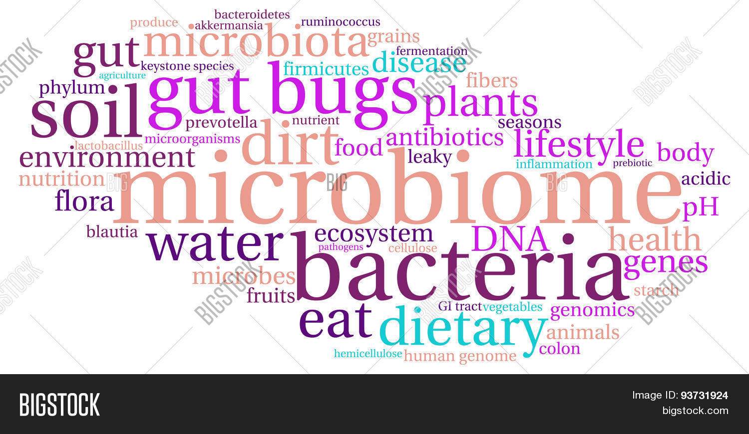Microbiome Word Cloud Image & Photo (Free Trial) | Bigstock