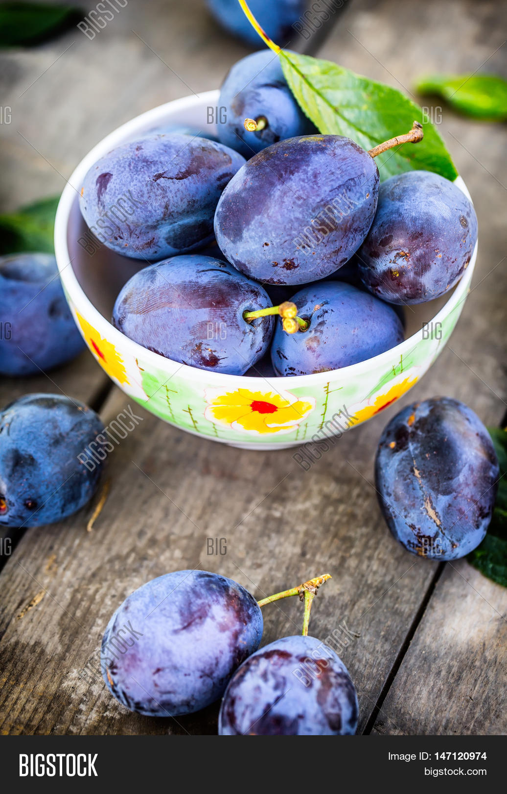 Plums. Blue Violet Image & Photo (Free Trial) | Bigstock