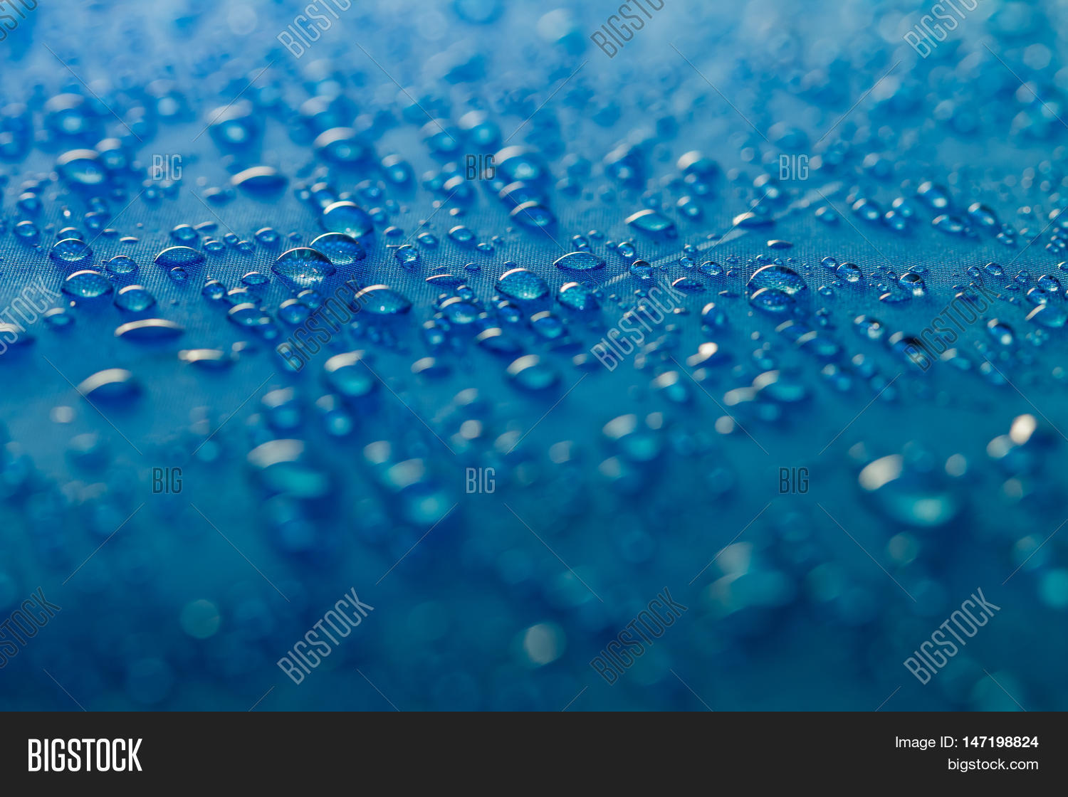 Rain Water Droplets On Image & Photo (Free Trial) | Bigstock
