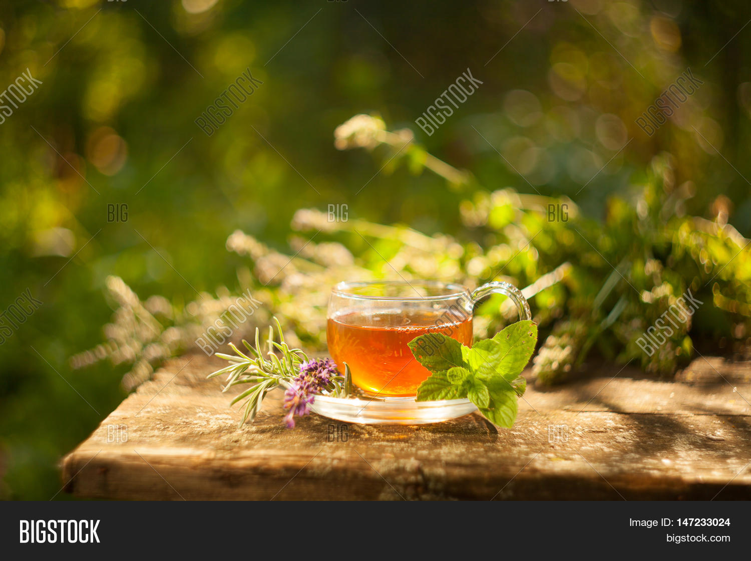 Green Tea Beautiful Image & Photo (Free Trial) | Bigstock