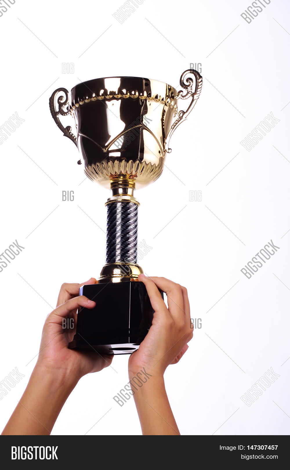 Hand Holding Throphy Image & Photo (Free Trial) | Bigstock