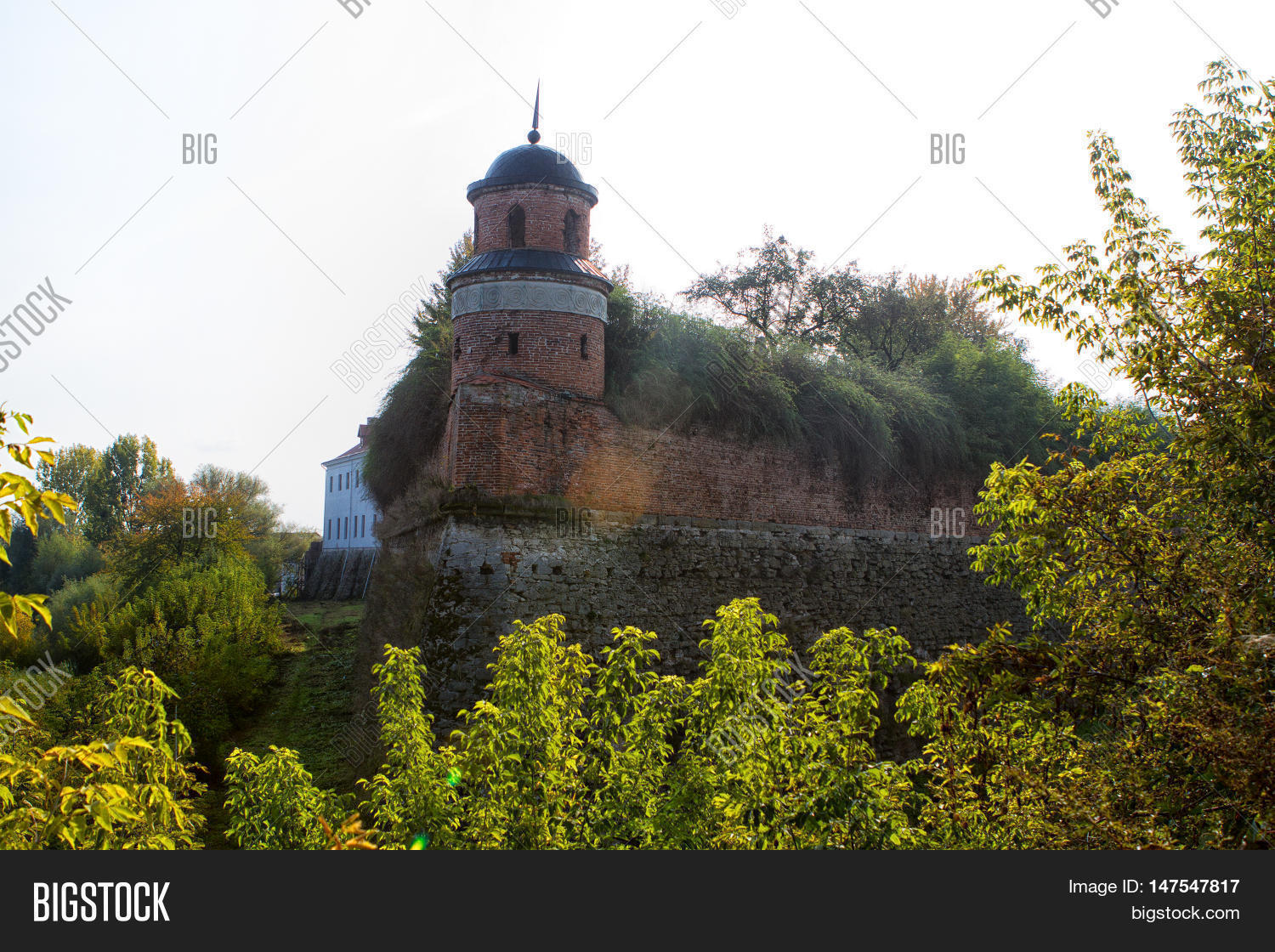 Medieval Dubno Castle Image & Photo (Free Trial) | Bigstock