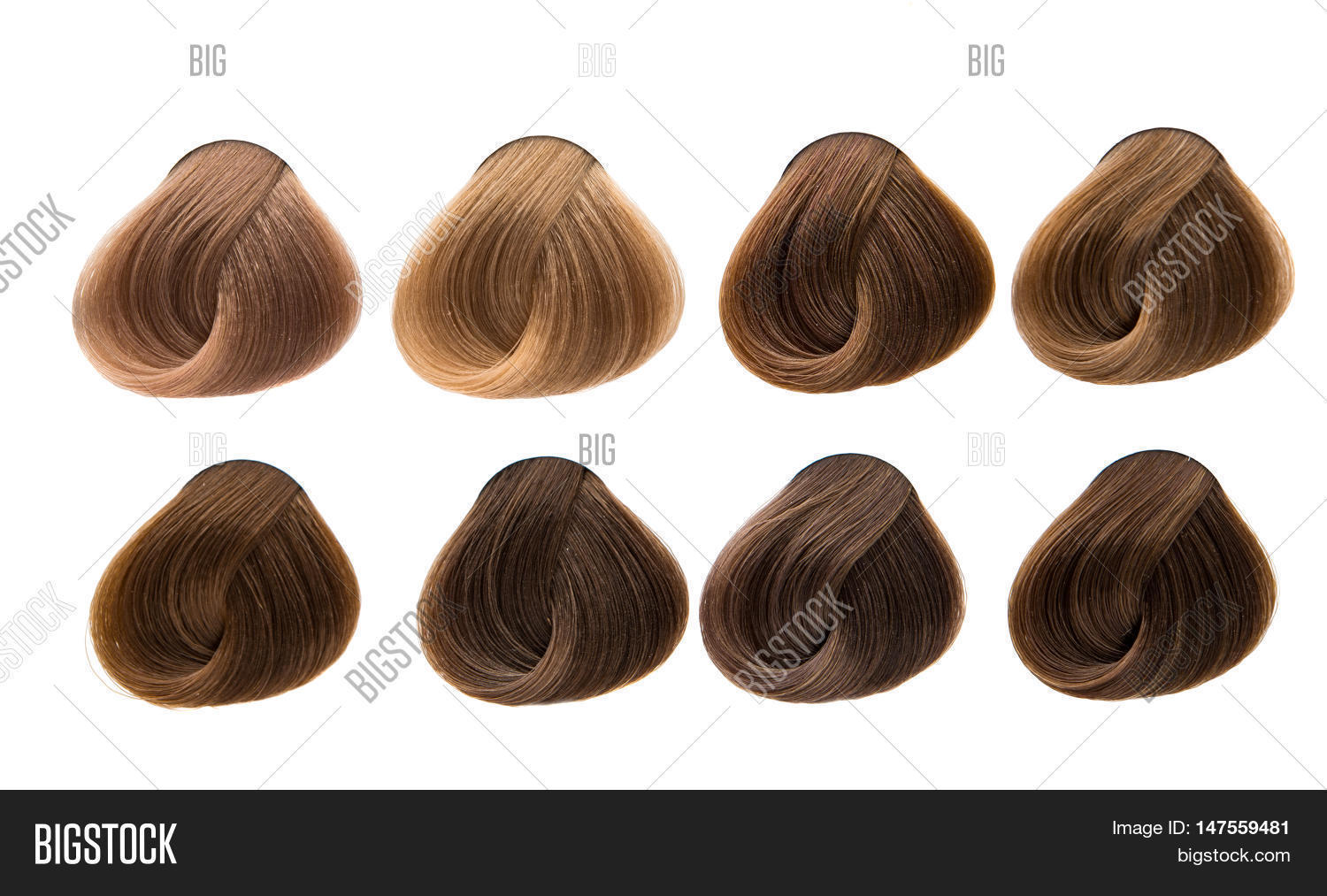 Hair Colors Set. Tints Image & Photo (Free Trial) | Bigstock