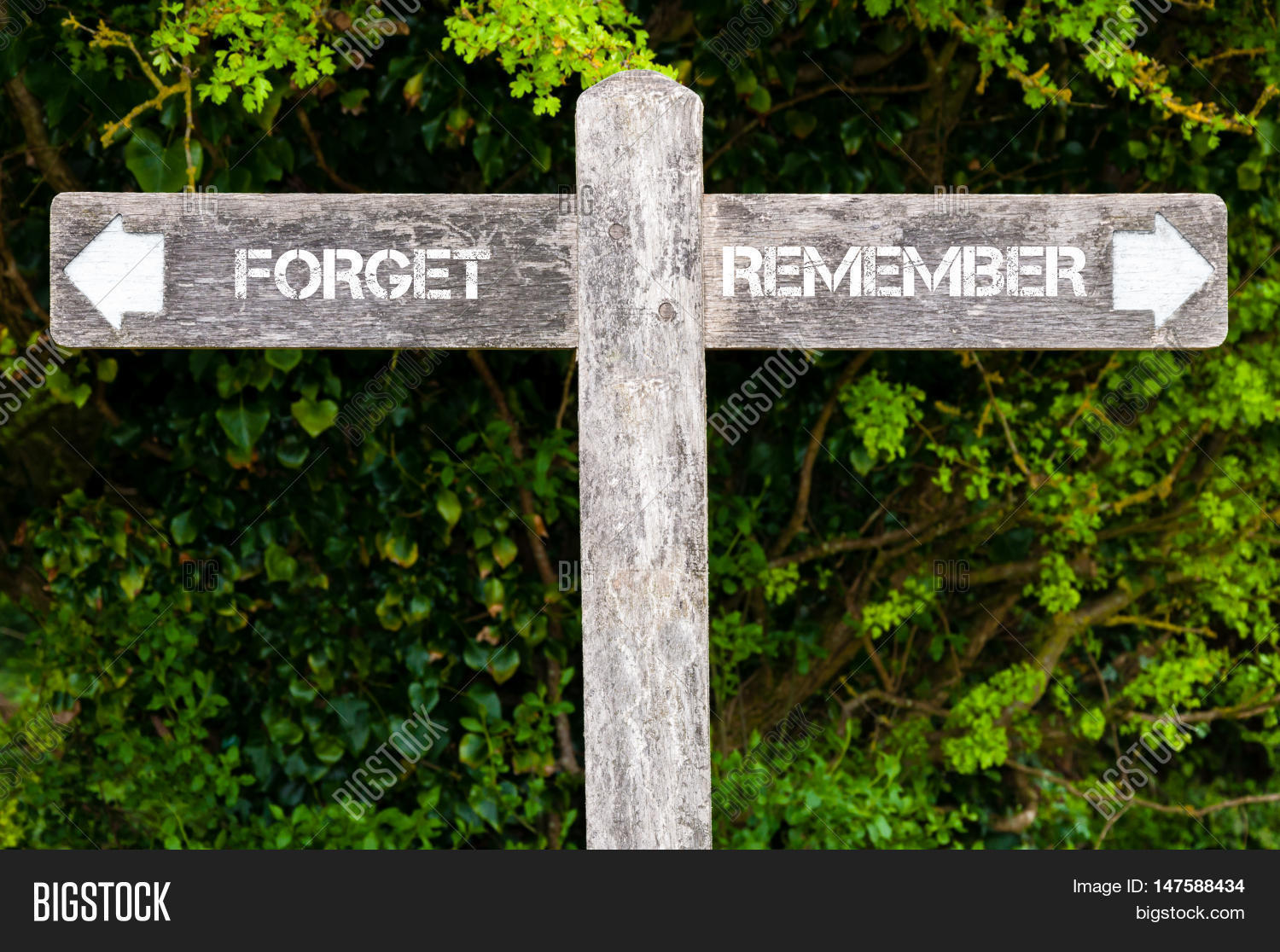 Forget Versus Remember Image & Photo (Free Trial) | Bigstock