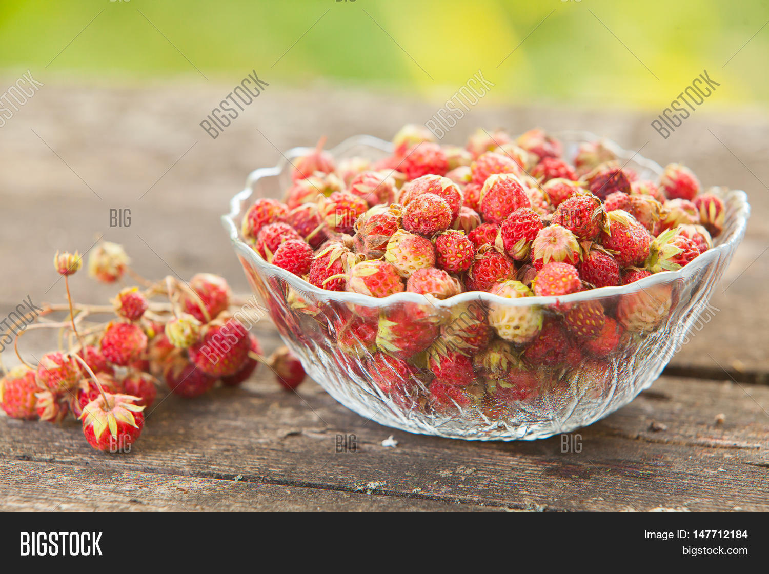 Red Berries On Image & Photo (Free Trial) | Bigstock