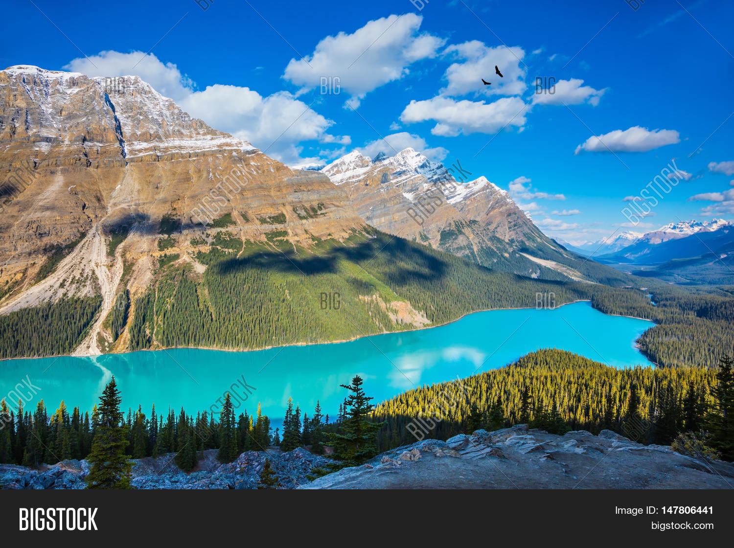 Canada. Turquoise Lake Image & Photo (Free Trial) | Bigstock