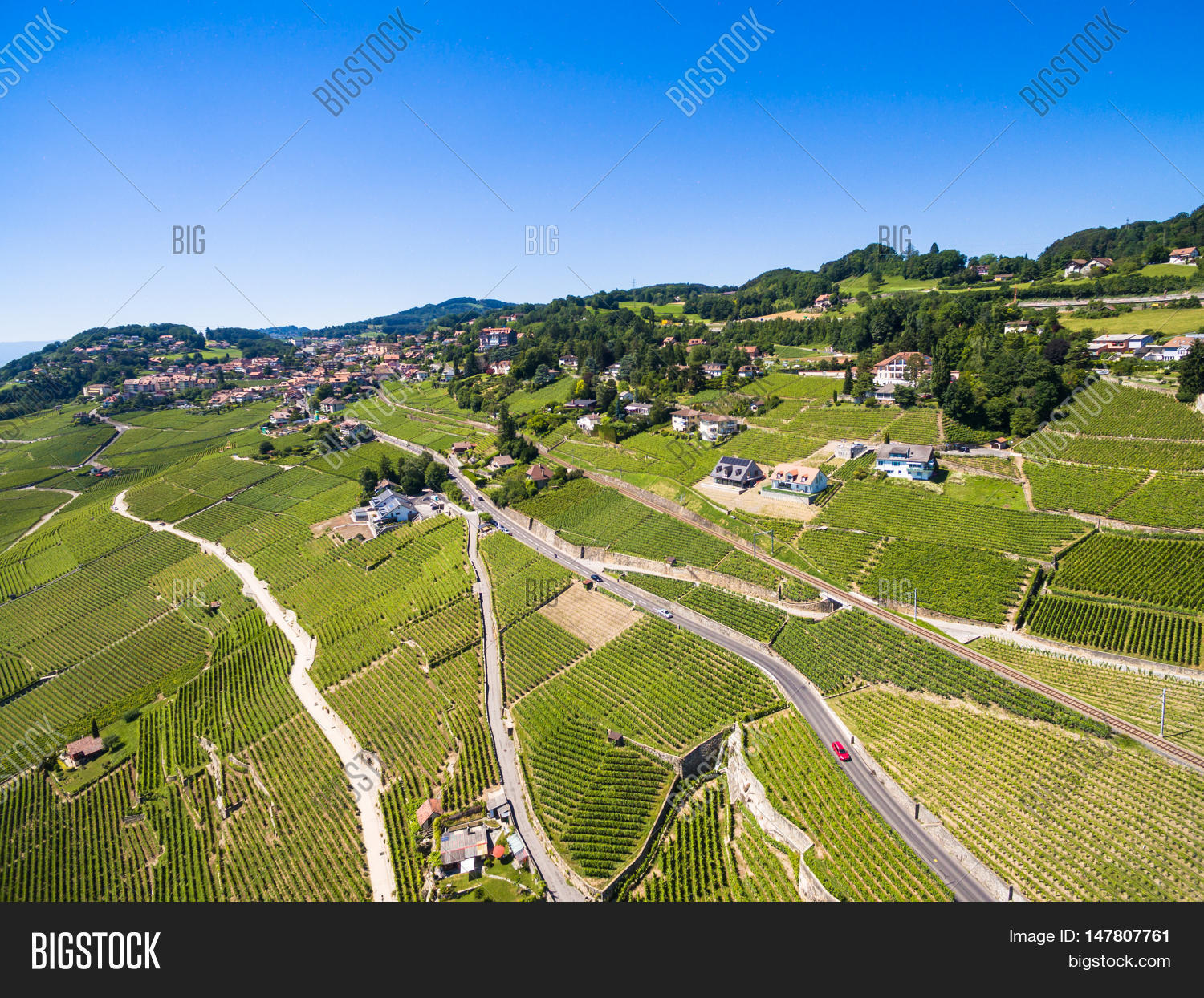 Aerial View Vineyards Image & Photo (Free Trial) | Bigstock