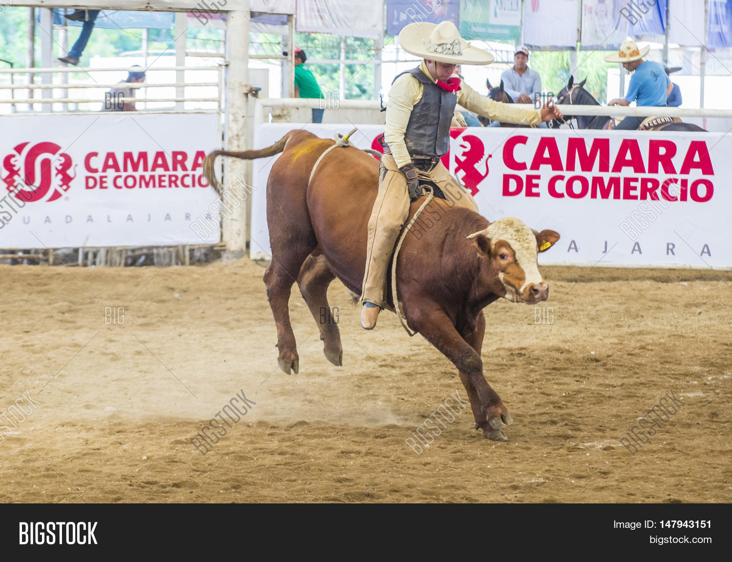 GUADALAJARA MEXICO - Image & Photo (Free Trial) | Bigstock