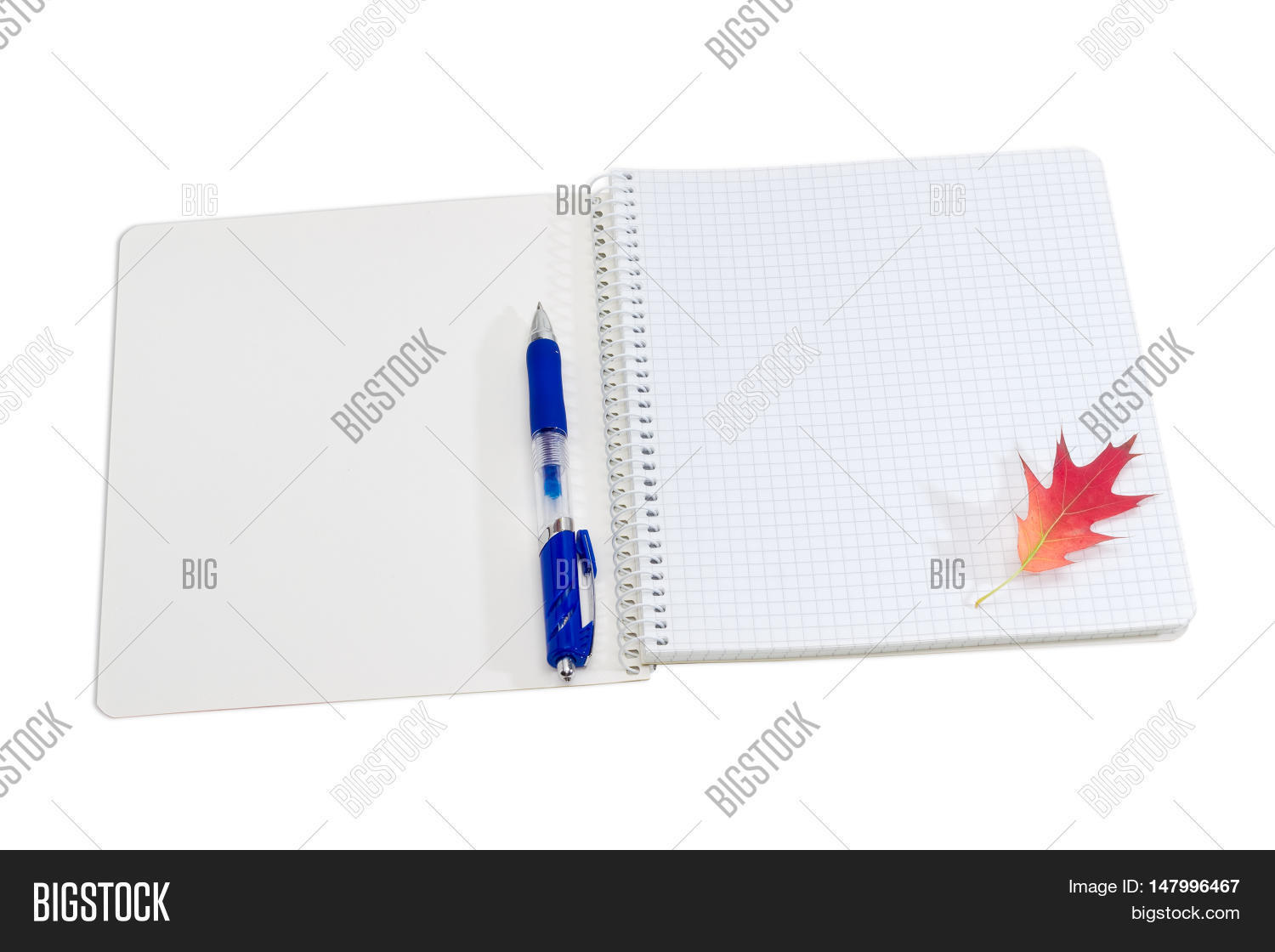 Open Paper Notebook Image & Photo (Free Trial) | Bigstock