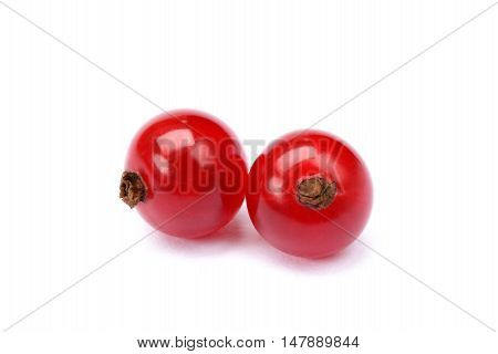Fresh Red Currant Image & Photo (Free Trial) | Bigstock