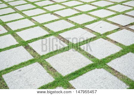 Square Concrete Tile Image & Photo (Free Trial) | Bigstock