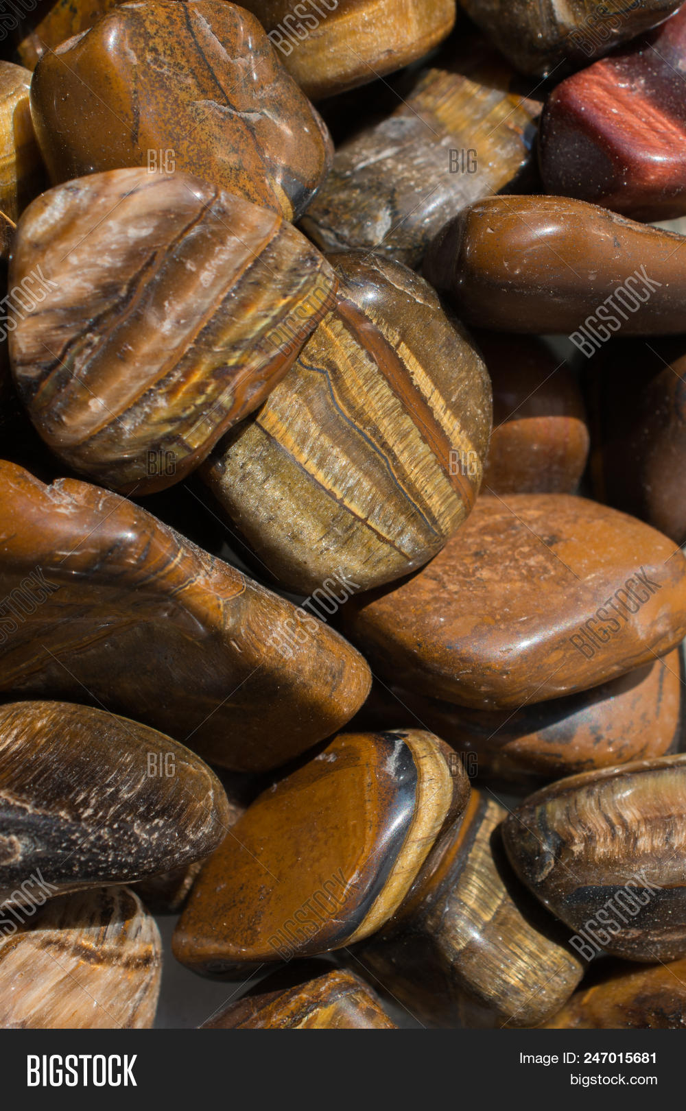 Tiger's Eye Hawk's Eye Image & Photo (Free Trial) | Bigstock