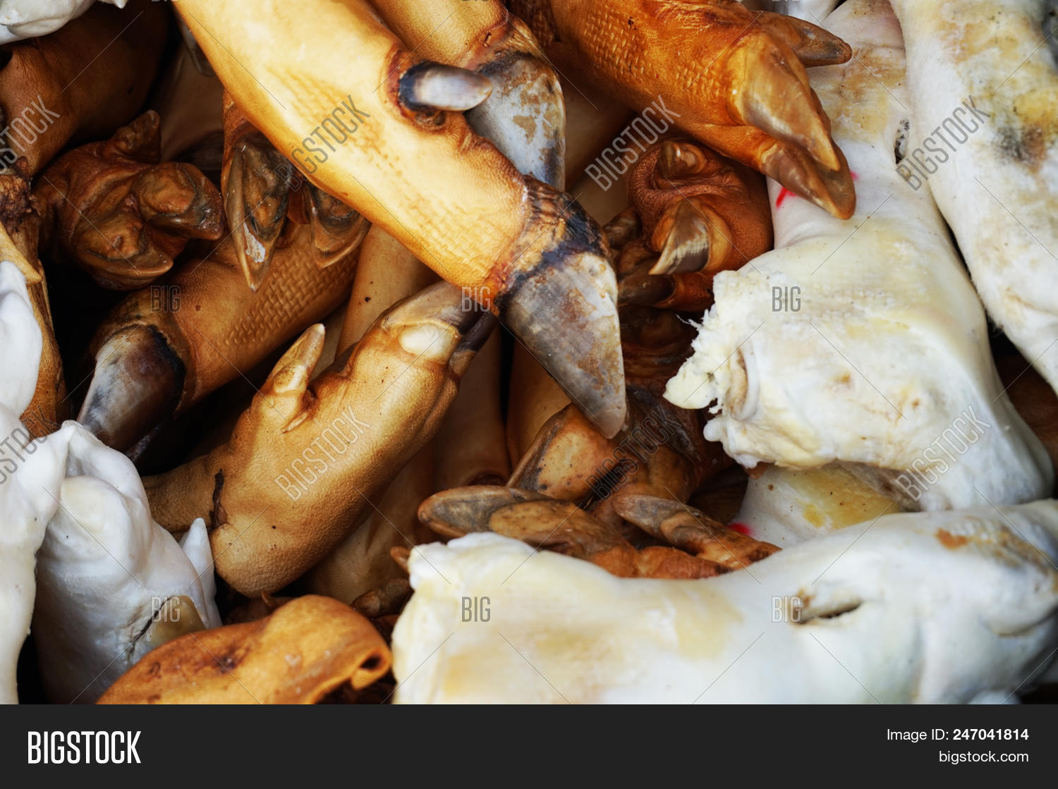 Dried Hooves Texture Image & Photo (Free Trial) | Bigstock