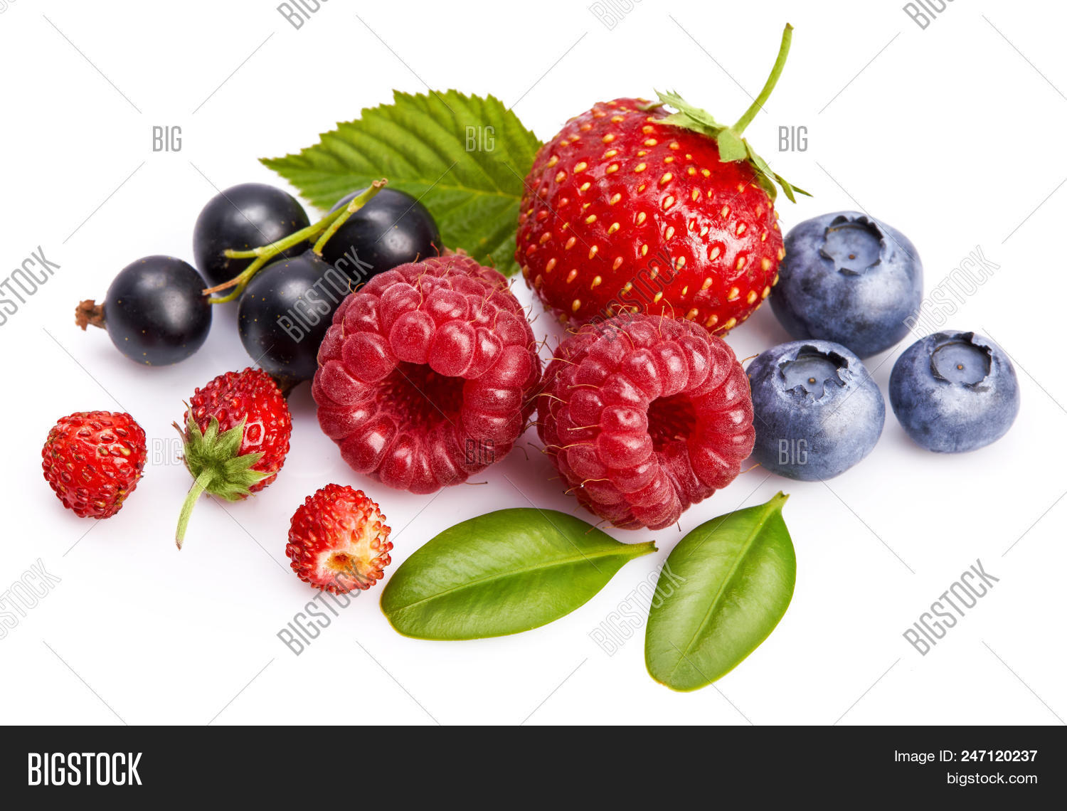 Set Fresh Berry. Mix Image & Photo (Free Trial) | Bigstock
