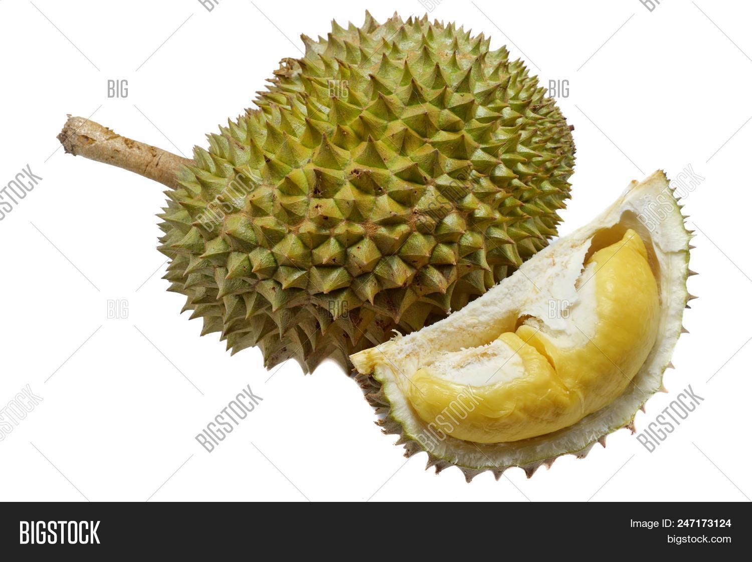 Top View Fresh Durian Image & Photo (Free Trial) | Bigstock
