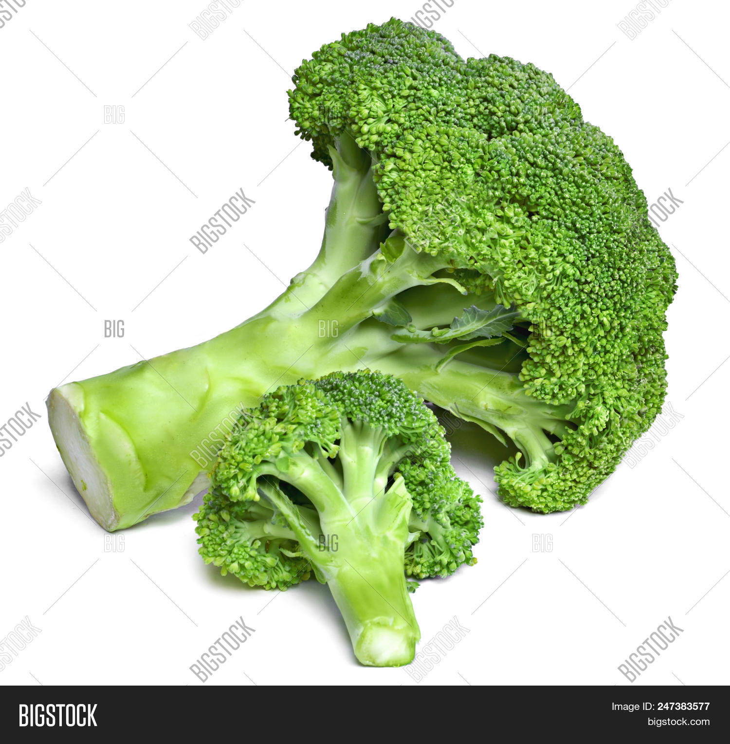 Fresh Green Broccoli, Image & Photo (Free Trial) | Bigstock