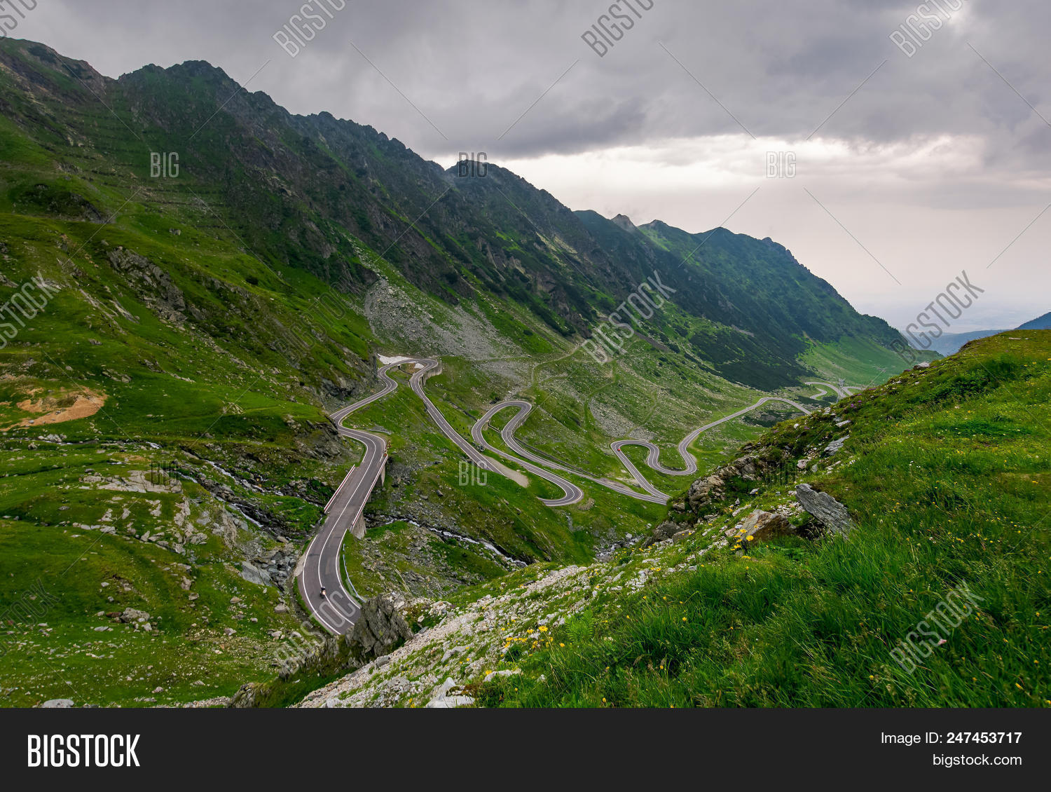 Winding Serpentine Image & Photo (Free Trial) | Bigstock