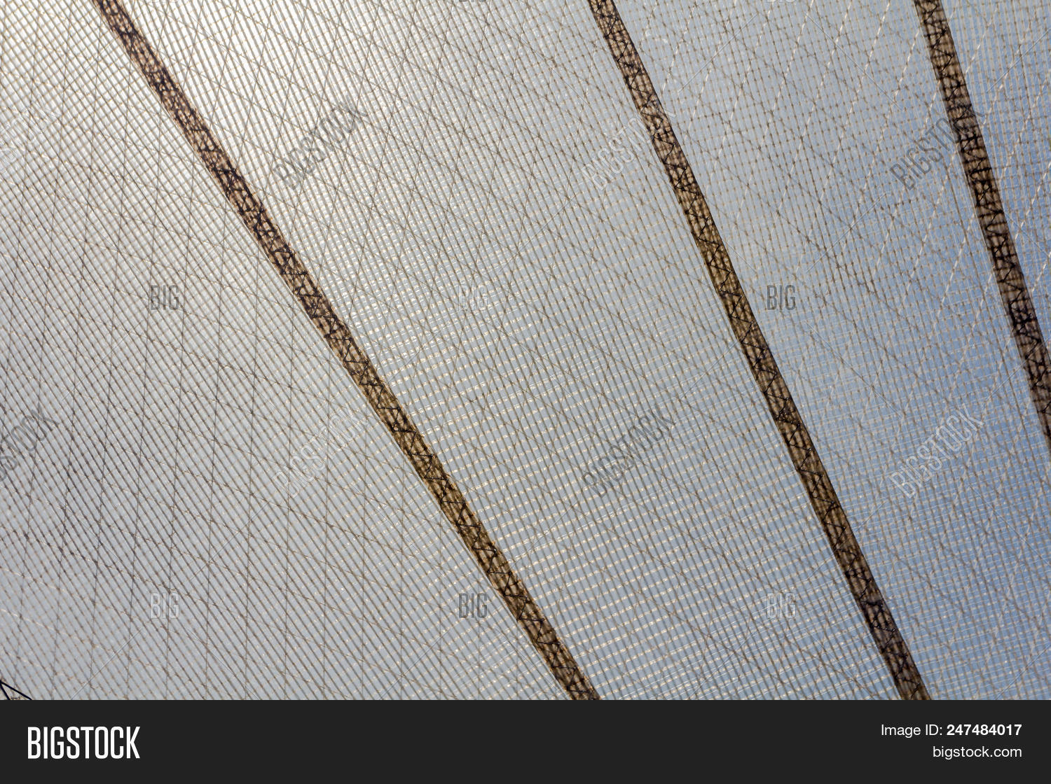Closeup Texture Image & Photo (Free Trial) | Bigstock