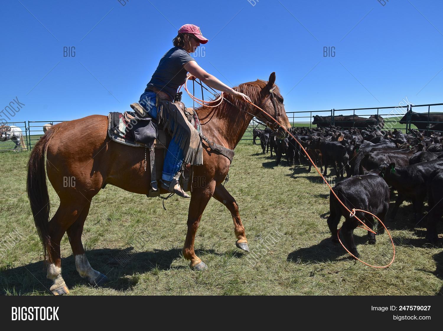 Mud Butte, South Image & Photo (Free Trial) | Bigstock