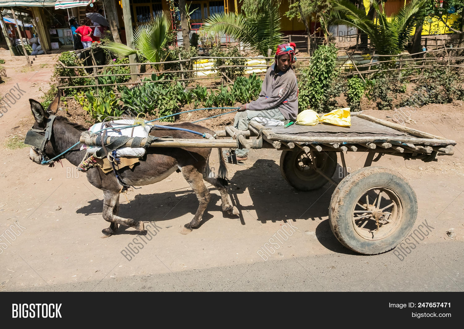 Addis Ababa, Ethiopia Image & Photo (Free Trial) | Bigstock